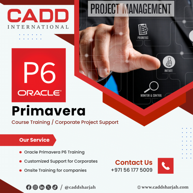 Mastering Project Management with Primavera P6